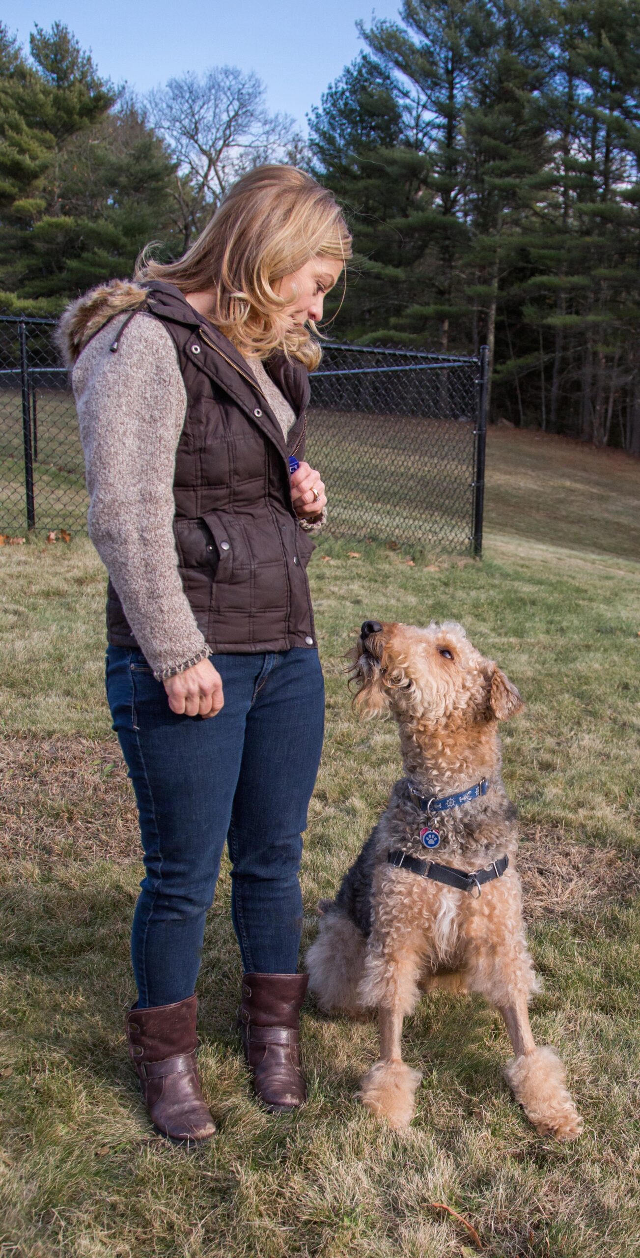 3 Tips for Changing Your Dogs Behavior - Canine Behavior Counseling