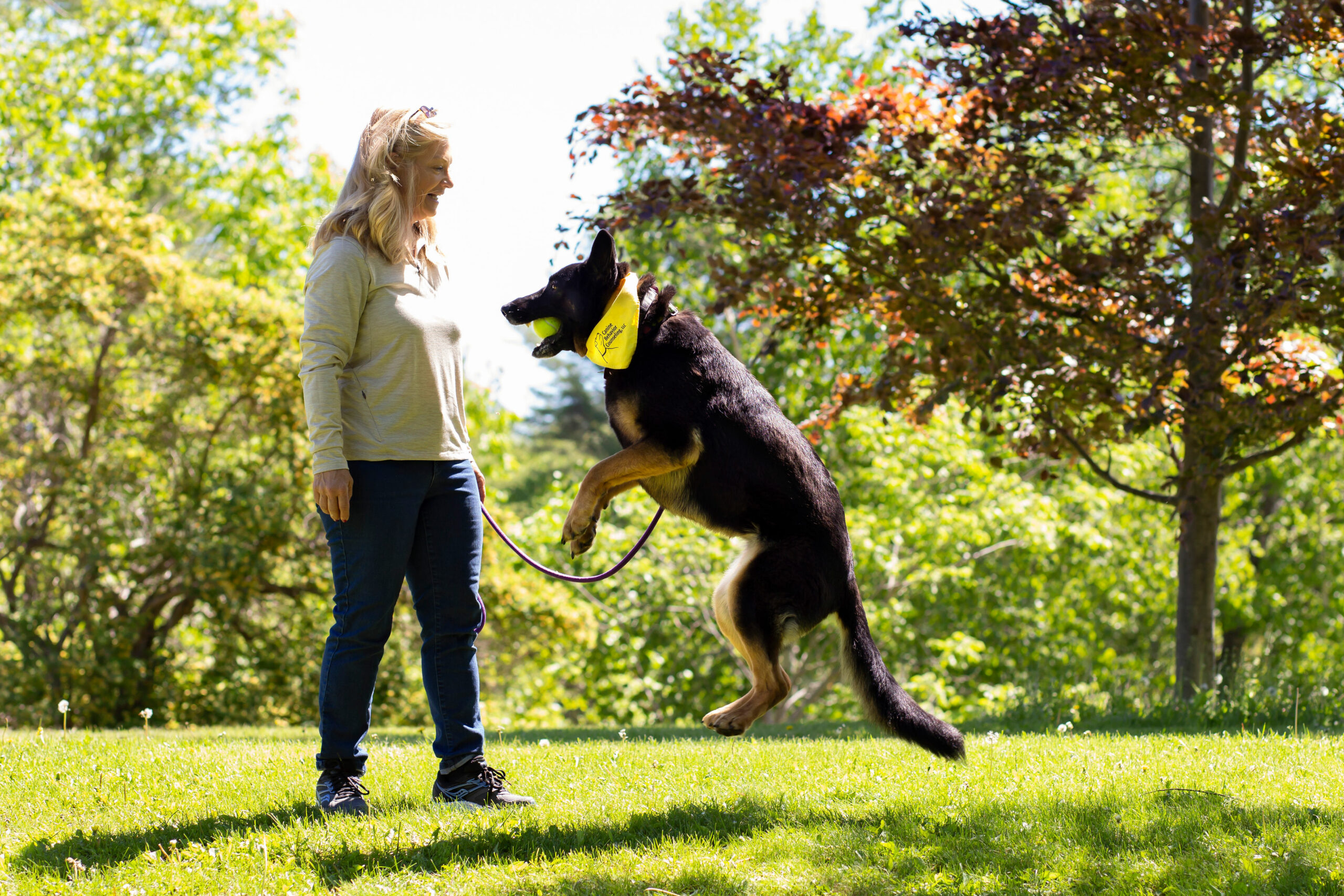 Arousal in Dogs Webinar with Judy - Canine Behavior Counseling