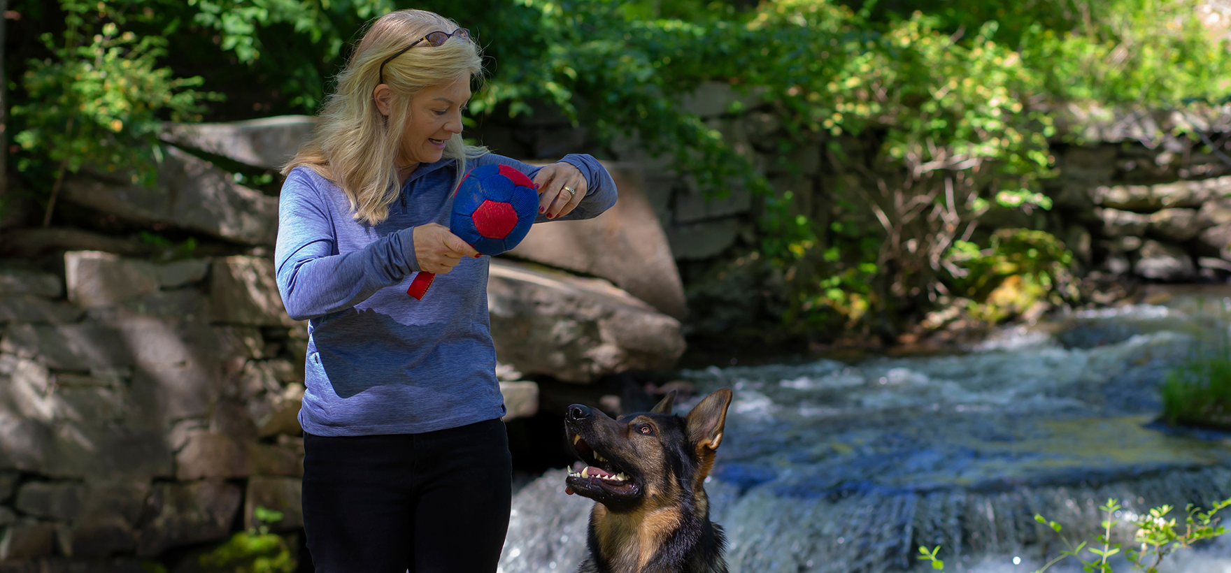 5 strategies to connect with your dog in any setting - Canine Behavior ...