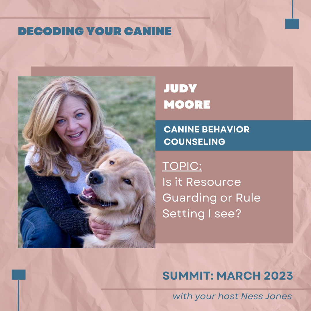 Seminars and Webinars | Fear Aggression in Dogs | Dog Training