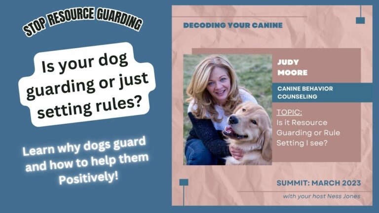 Resource Guarding vs Pushy Rule Setting: Understanding the Difference ...