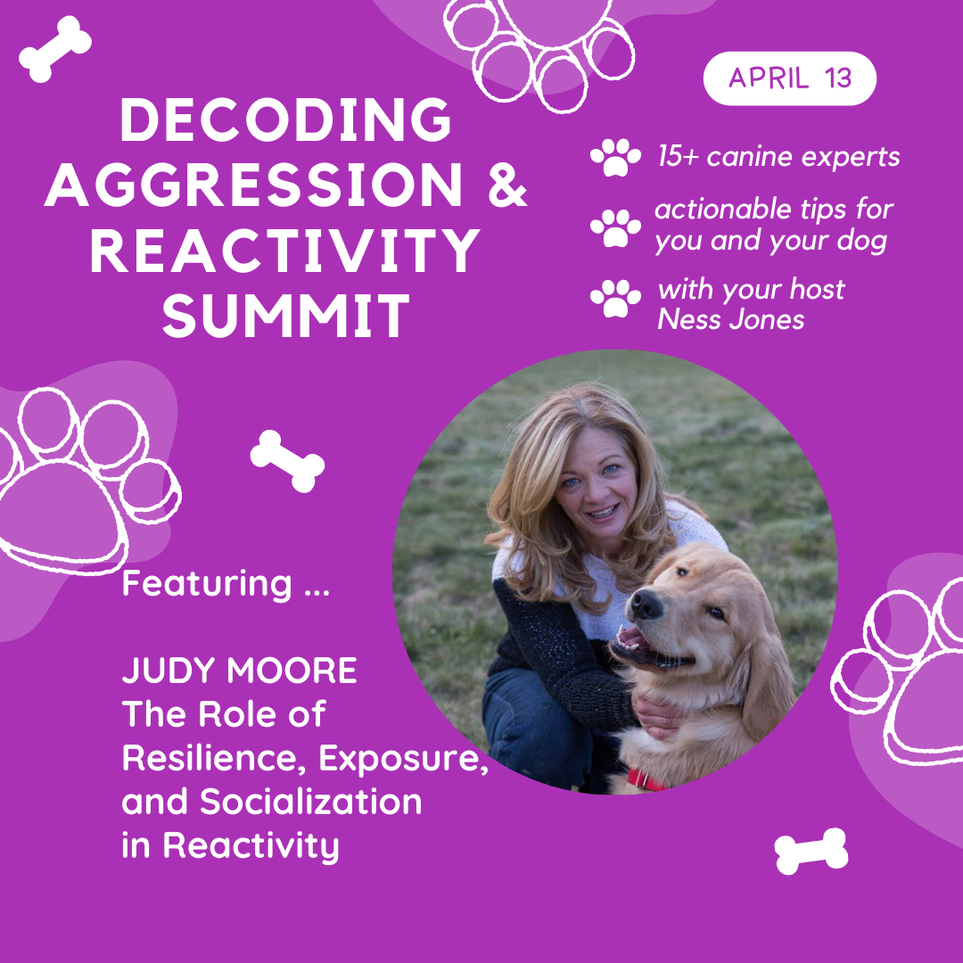 Three Speaking Events For you! - Canine Behavior Counseling